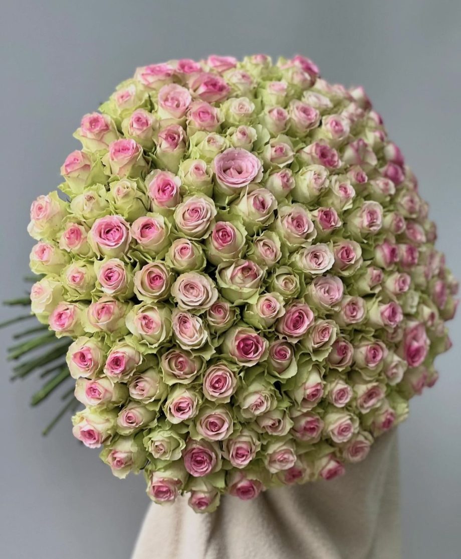200 Imported Pink Roses – Dipalesa Flowas